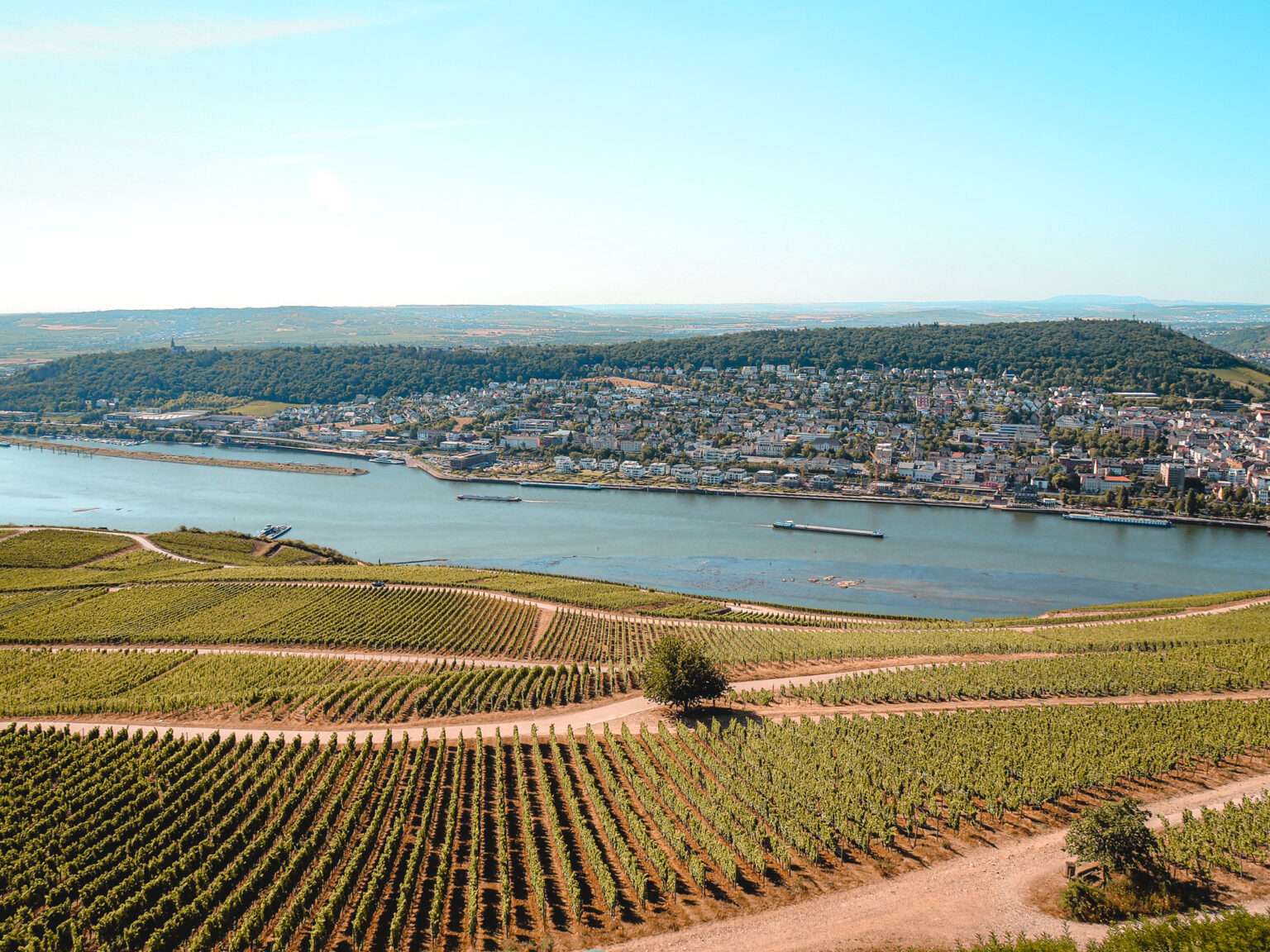 Tipps für die Ringtour in Rüdesheim am Rhein